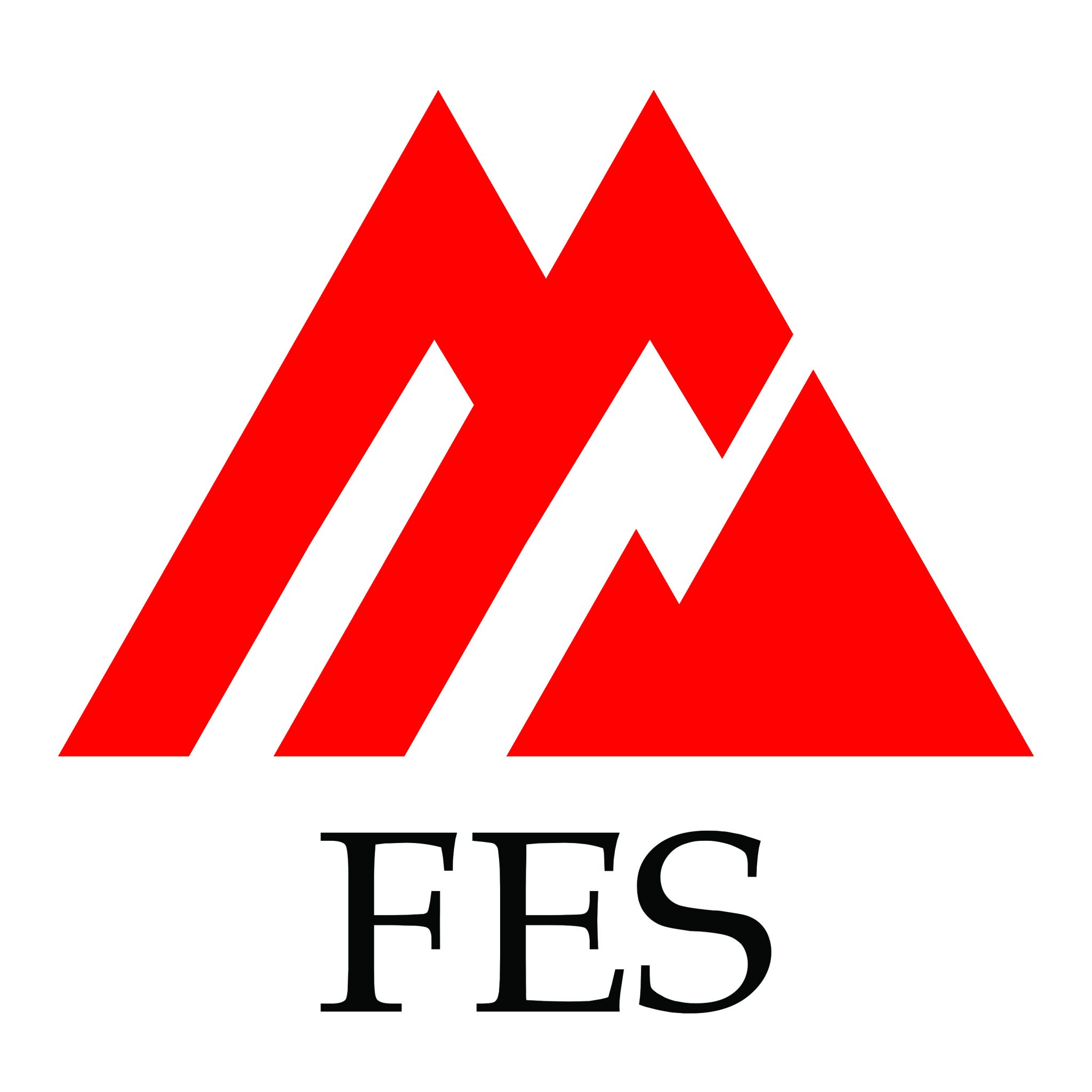 About us (EN) – FES